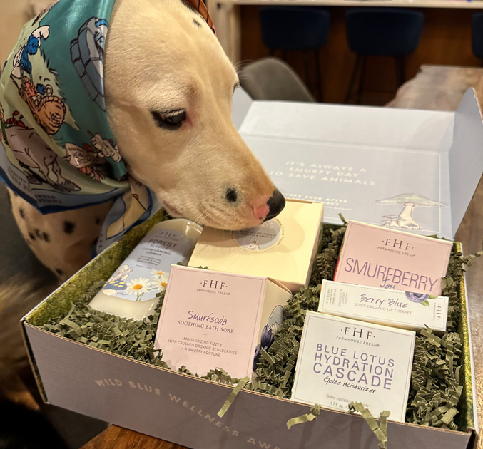 A Big Thank You to The Asher House™ for Their Support – Farmhouse Fresh ...